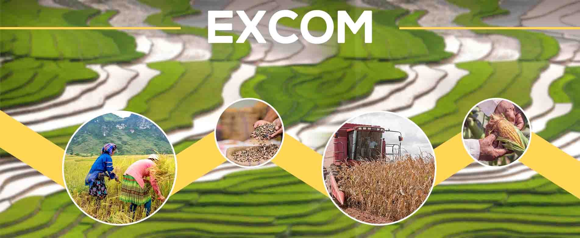 Déclaration annuelle du Droit de Communication à Madagascar